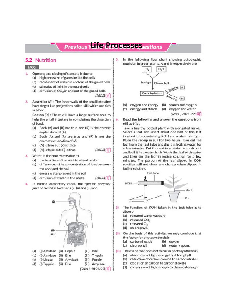 Life Process 10 Pyq - 1 | PDF