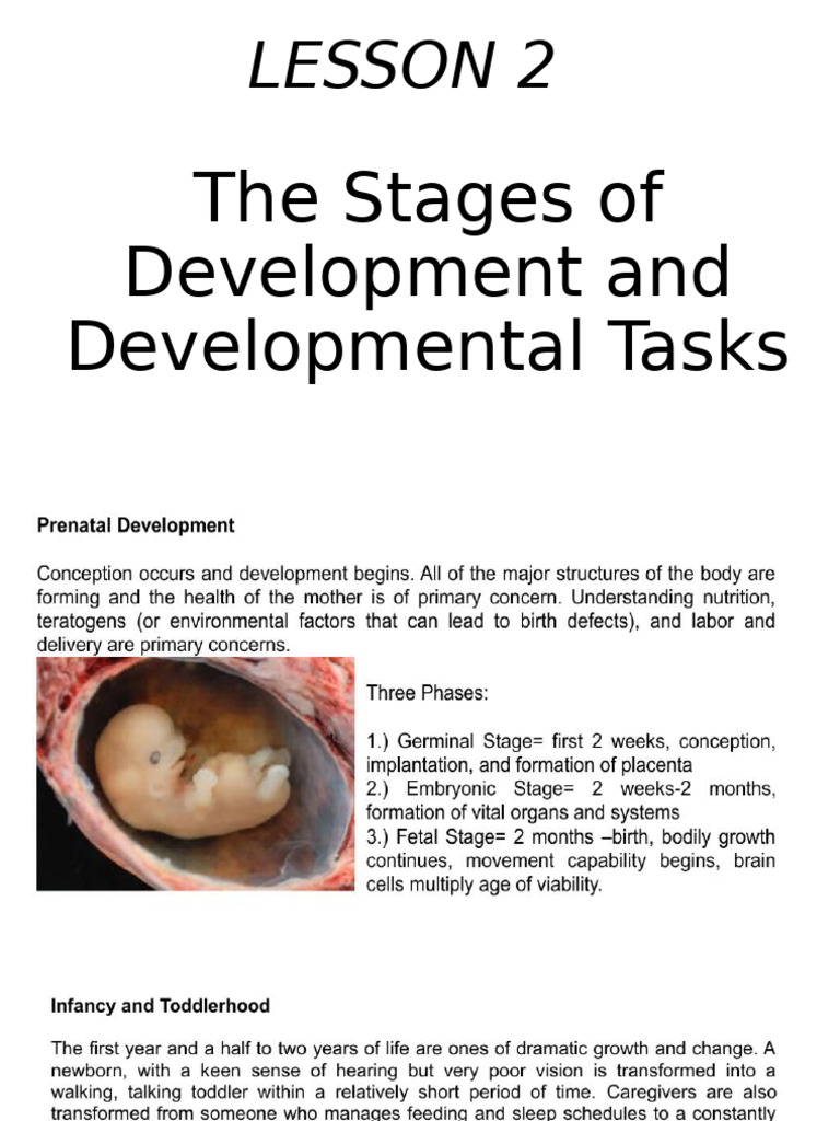 L2 - Profed 100 | PDF