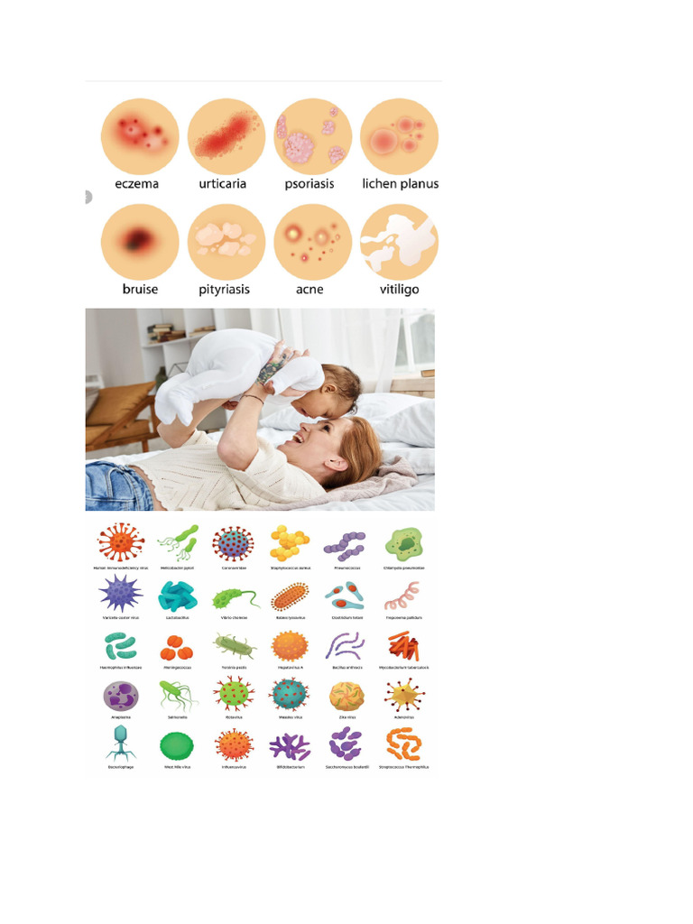 Darshana Biology Holiday Homework | PDF