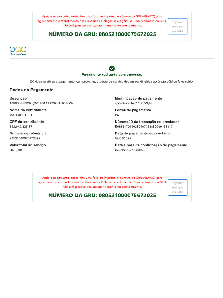 Número Da Gru | PDF