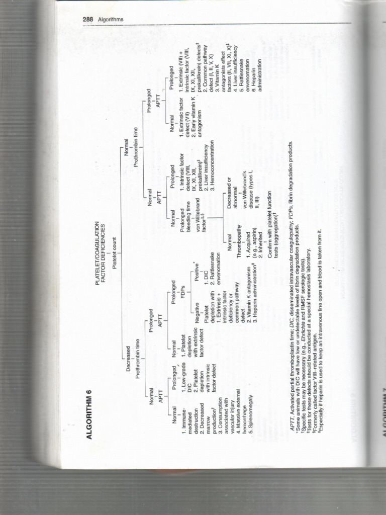 Algoritmi Plachete | PDF