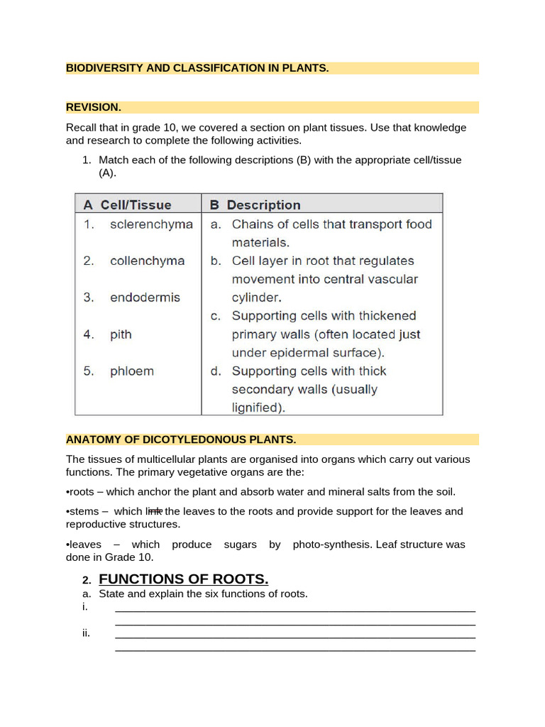 BIODIVERSITY AND CLASSIFICATION IN PLANTS- ROOTS-STUDENT COPY | PDF ...