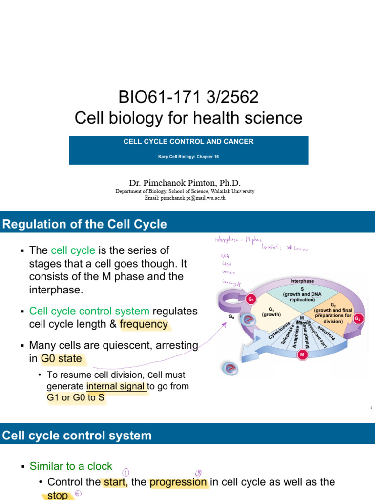 BIO62 270 2567 S3 L9 L10 Cancer | PDF | Oncogene | Cell Cycle