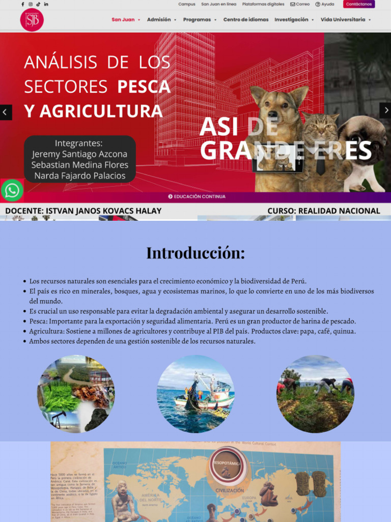 Blue+Colorful+Cute+Group+Project++Presentation Compressed | PDF