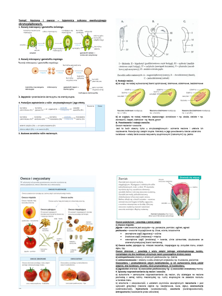 2T Biol. Stopa SR | PDF