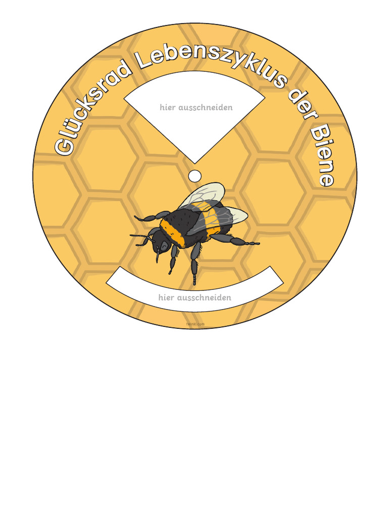 GL Cksrad Lebenszyklus Der Biene | PDF