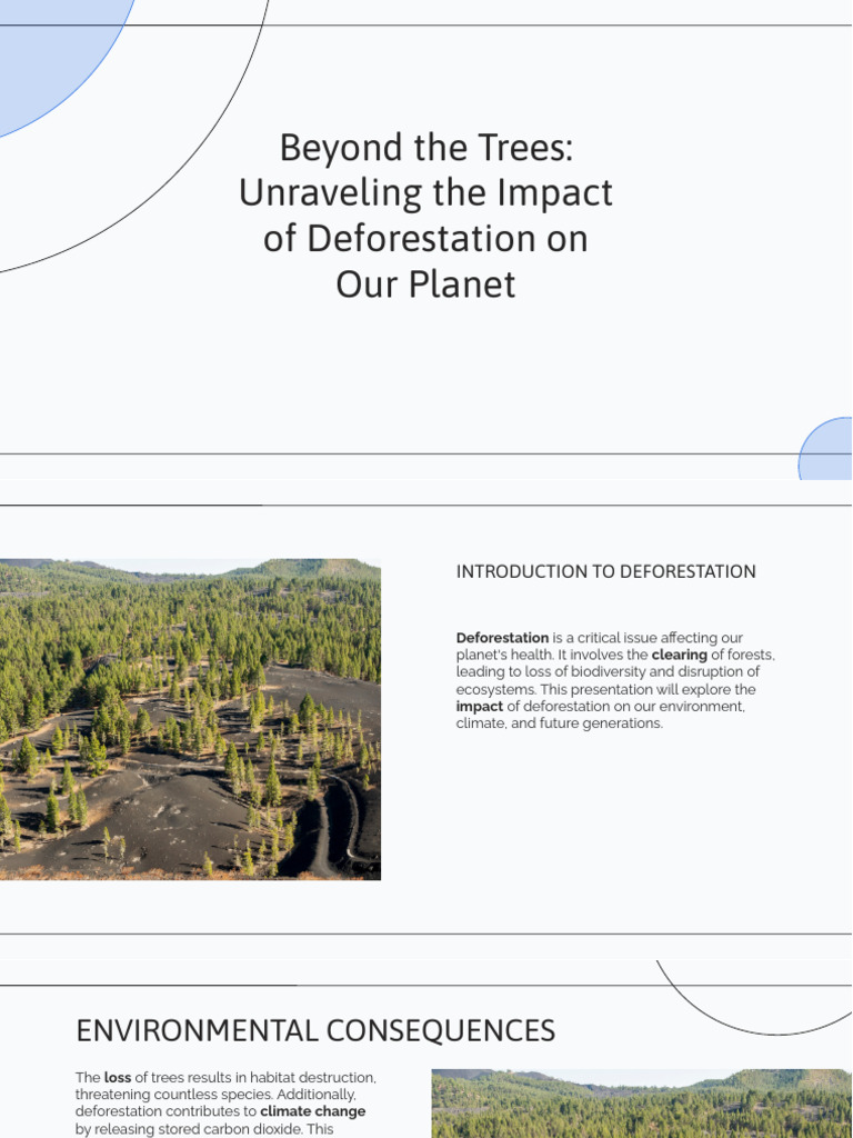 Deforestation | PDF