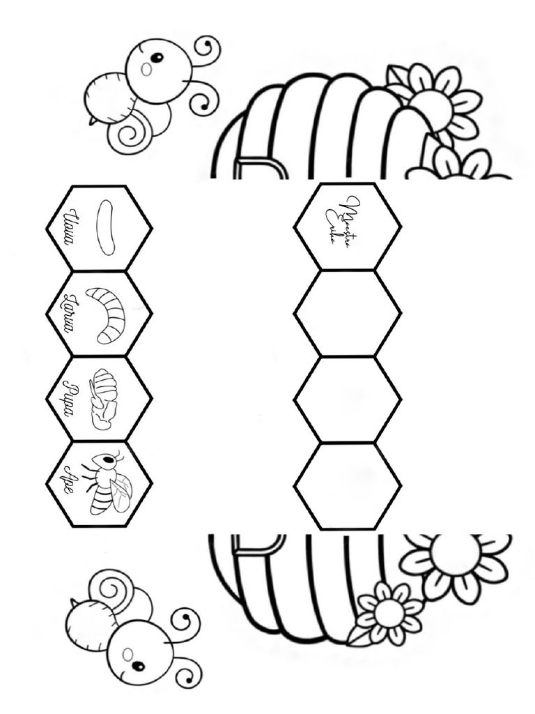 Ciclo vitale delle api | PDF
