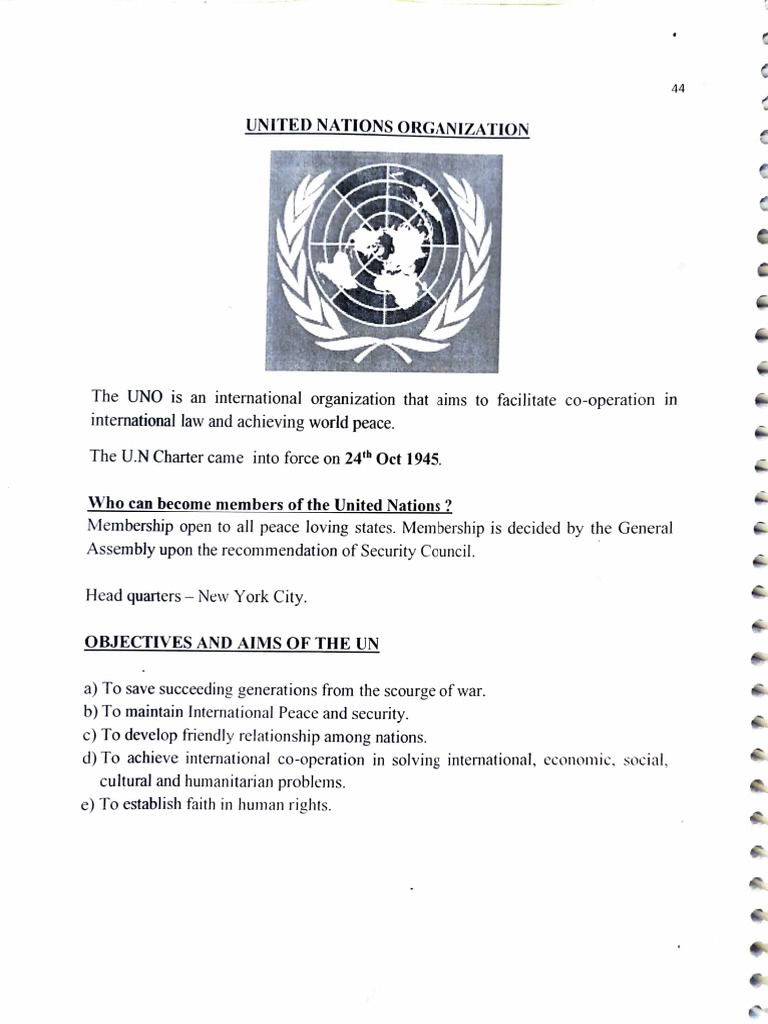Overview of the United Nations Organization | PDF | United Nations ...