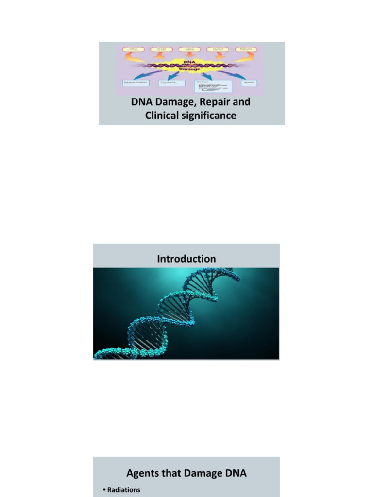 Clinical Significance of Dna Repair | PDF