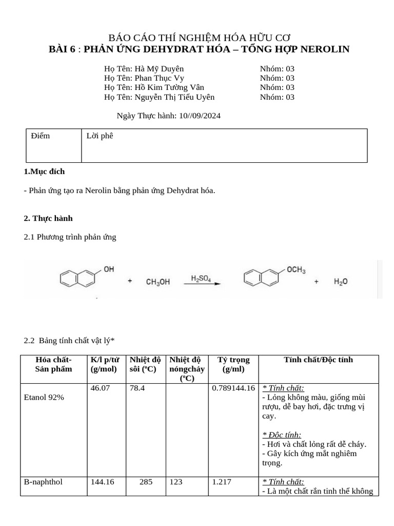 BC SV Nerolin b6 | PDF