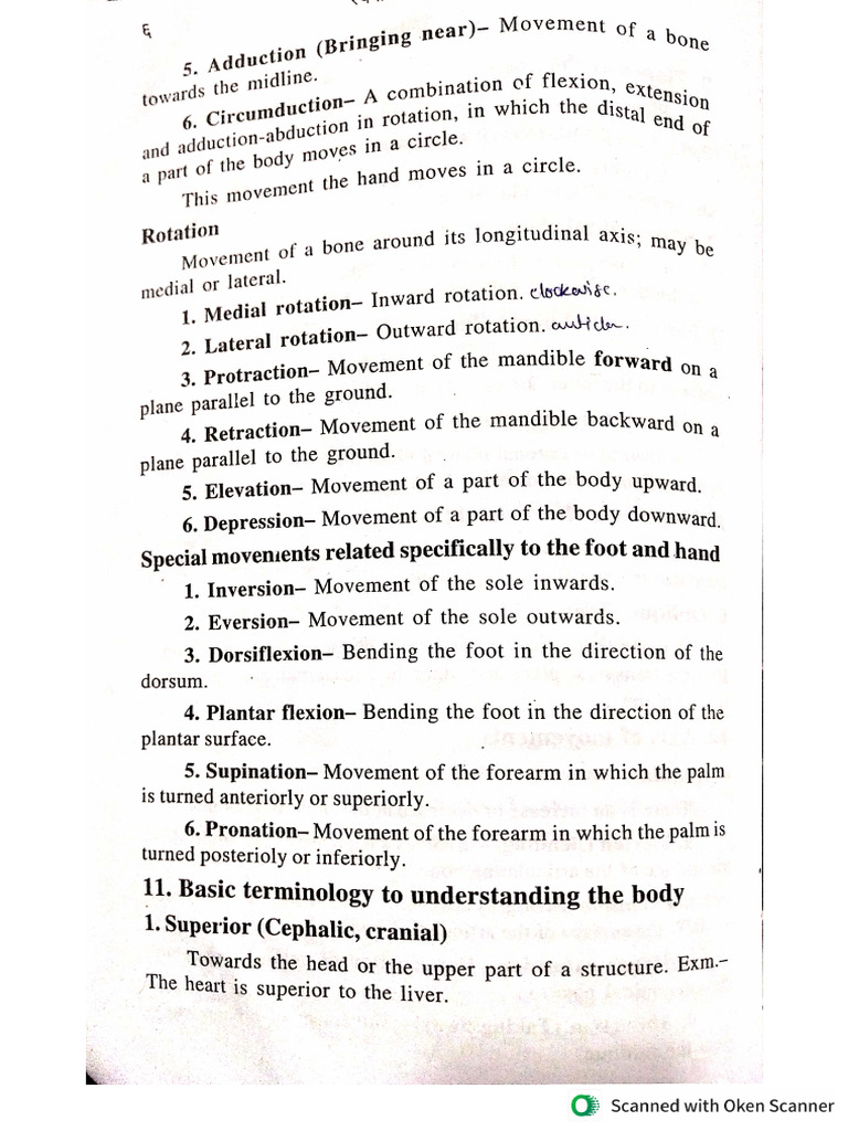 Basic Terminology Anatomy | PDF