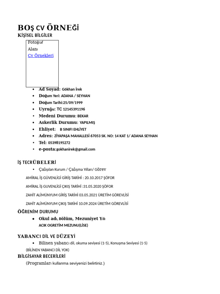 Bos Cv Ornegi | PDF