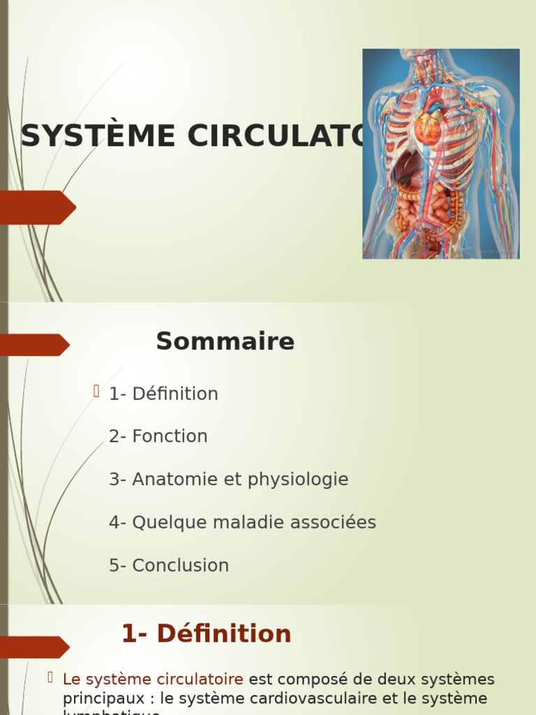 Comprendre le Système Circulatoire | PDF | Sang | Cœur