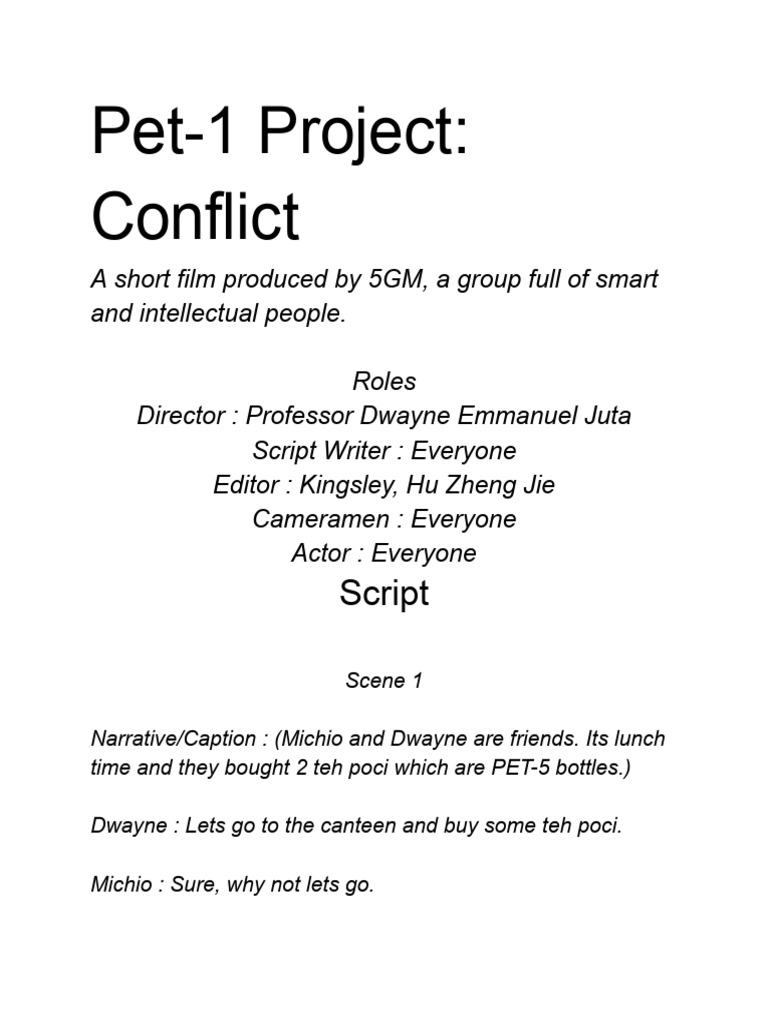 Pet-1 Project Conflict | PDF