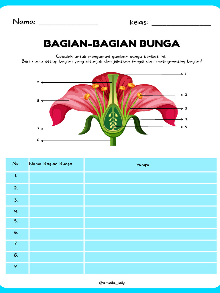 Bagian dan Fungsi Bunga Kelas 4 | PDF