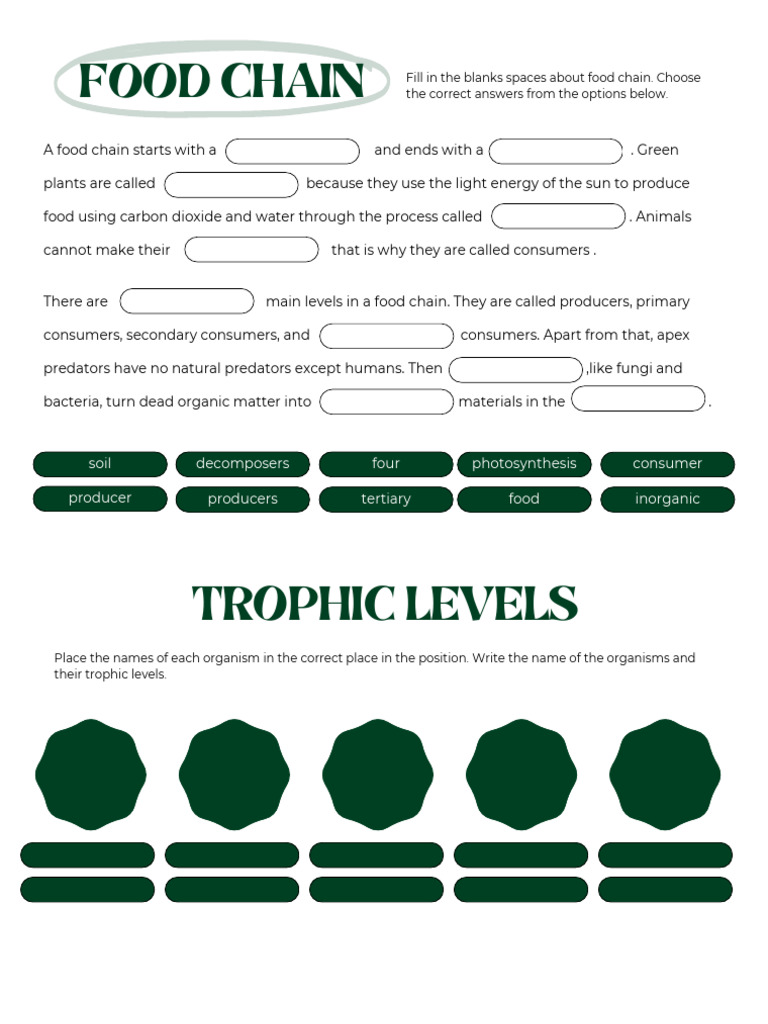 Food Chain Drag and Drop Digital Worksheet in Light Green Neat Style ...