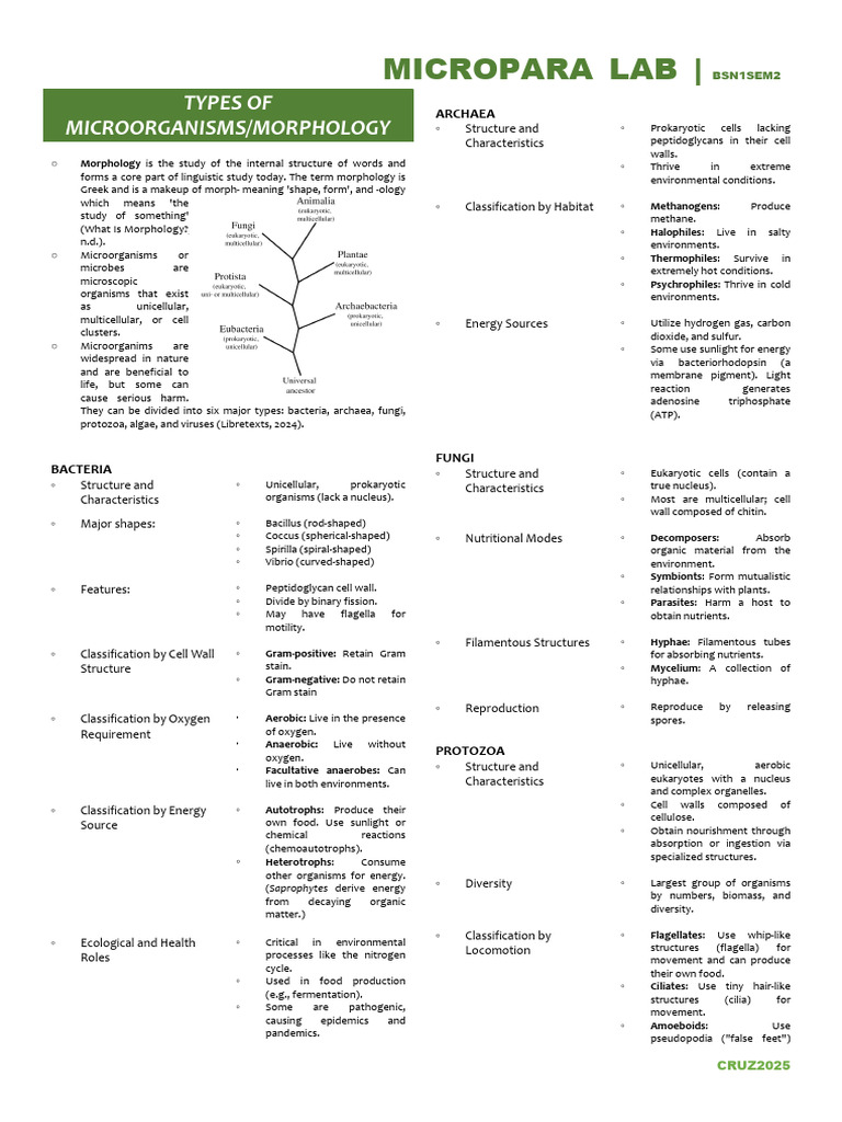 Types and Morphology of Microorganisms | PDF | Microorganism | Cell ...