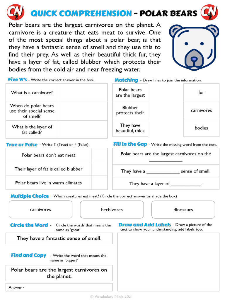 Y1 Quick Comprehension - Polar Bears (Non-Fiction) | PDF | Bears ...