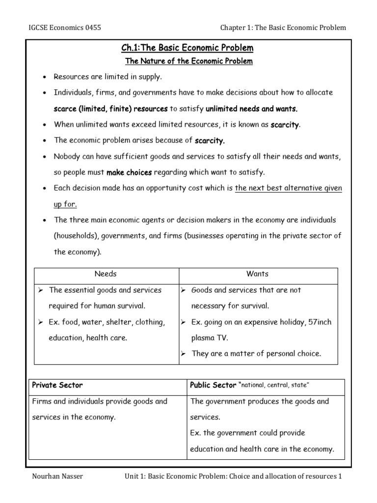 Chapter 1 Basic Economic Problem | PDF | Opportunity Cost | Economics
