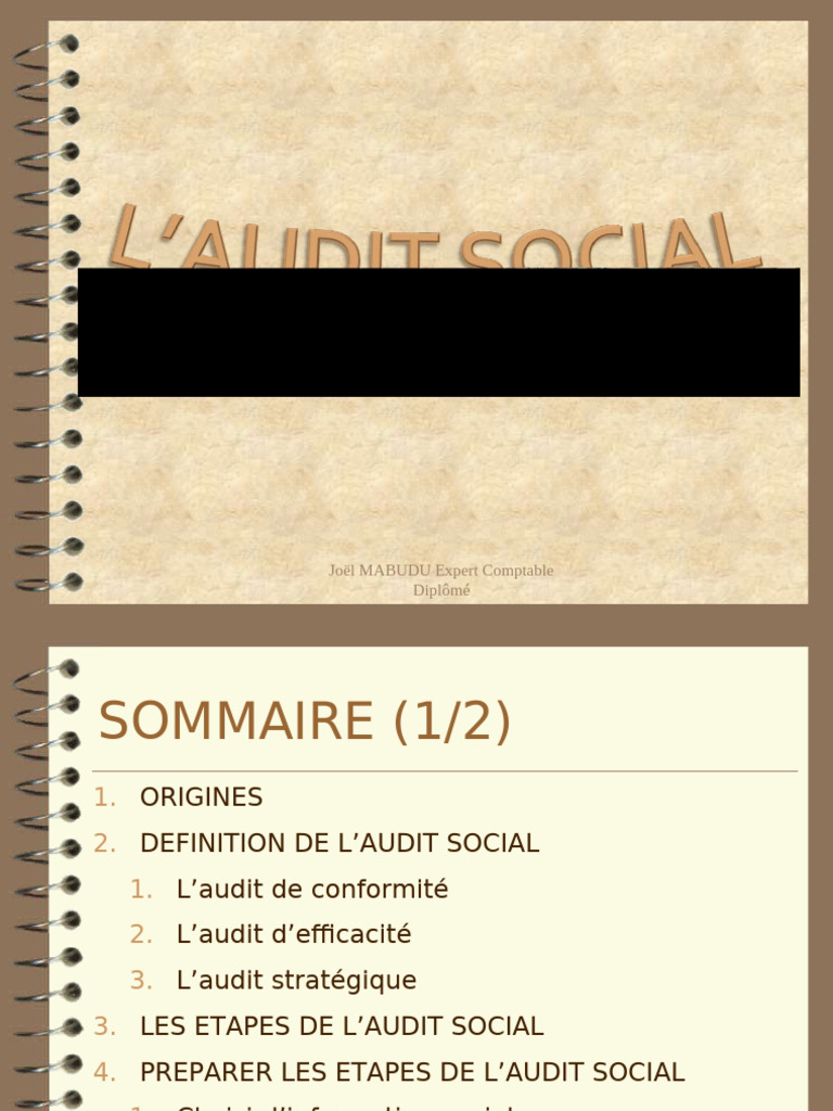 L'audit Social | PDF | Audit | Salaires