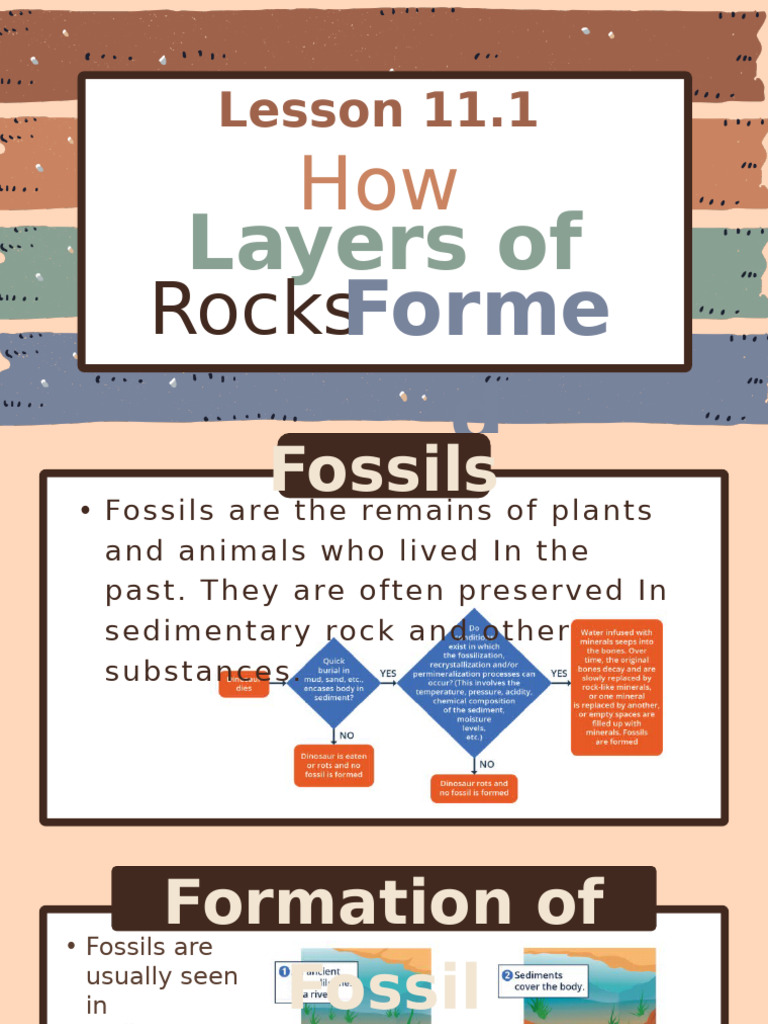 Earths Rock Layers and Fossils | PDF | Stratigraphy | Sedimentary Rock