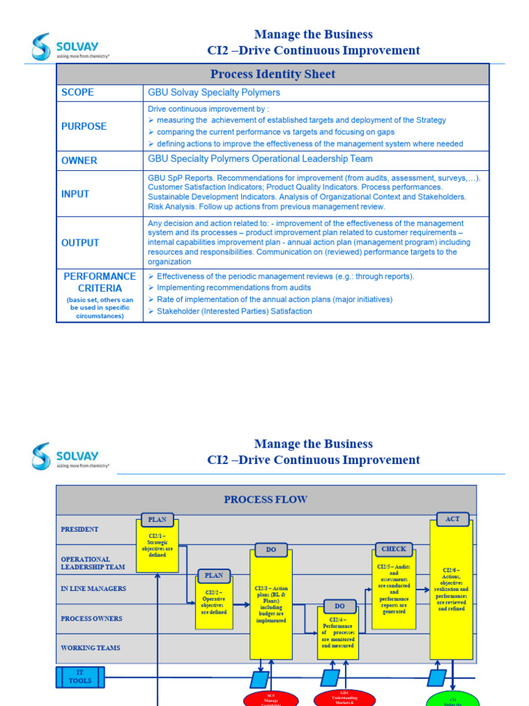 CI2 Drive Continuous Improvement | PDF | Audit | Leadership