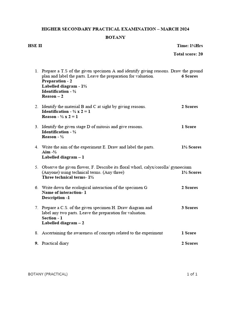 Practical QP | PDF