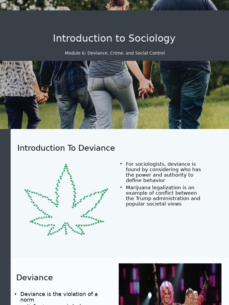Sociology 06 Deviance,+Crime,+and+Social+Control+ | PDF | Deviance ...