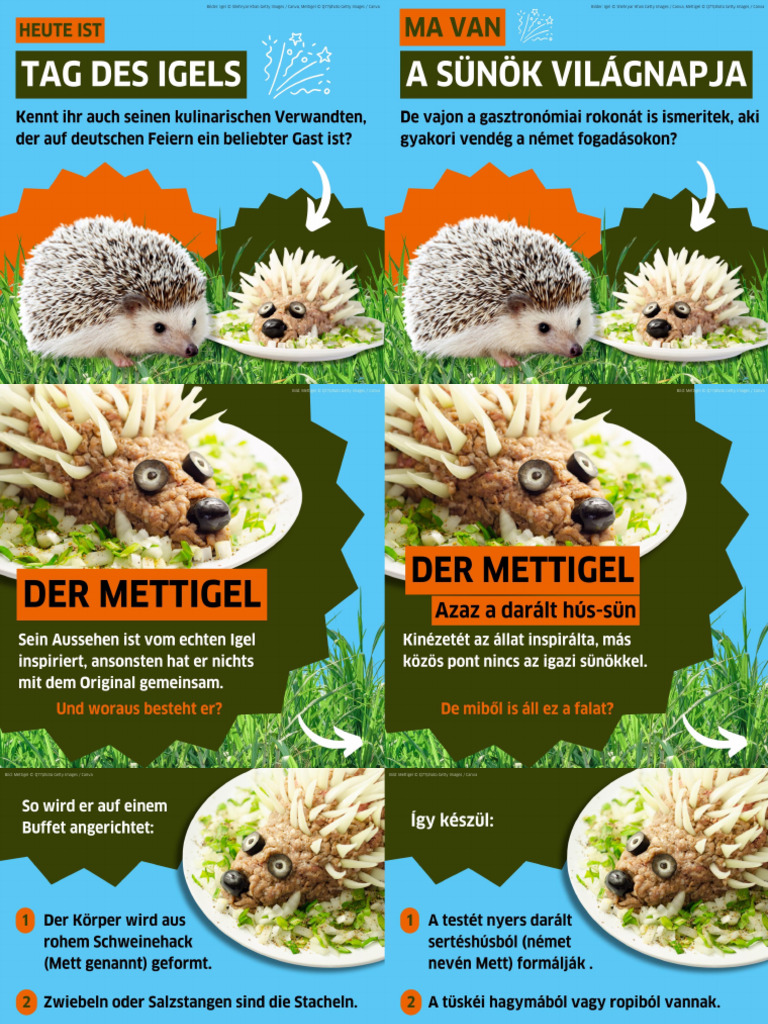 Der Mettigel | PDF