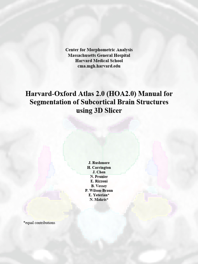 HOA Subcortical Brain Structure Segmentation Manual | PDF | Brain ...