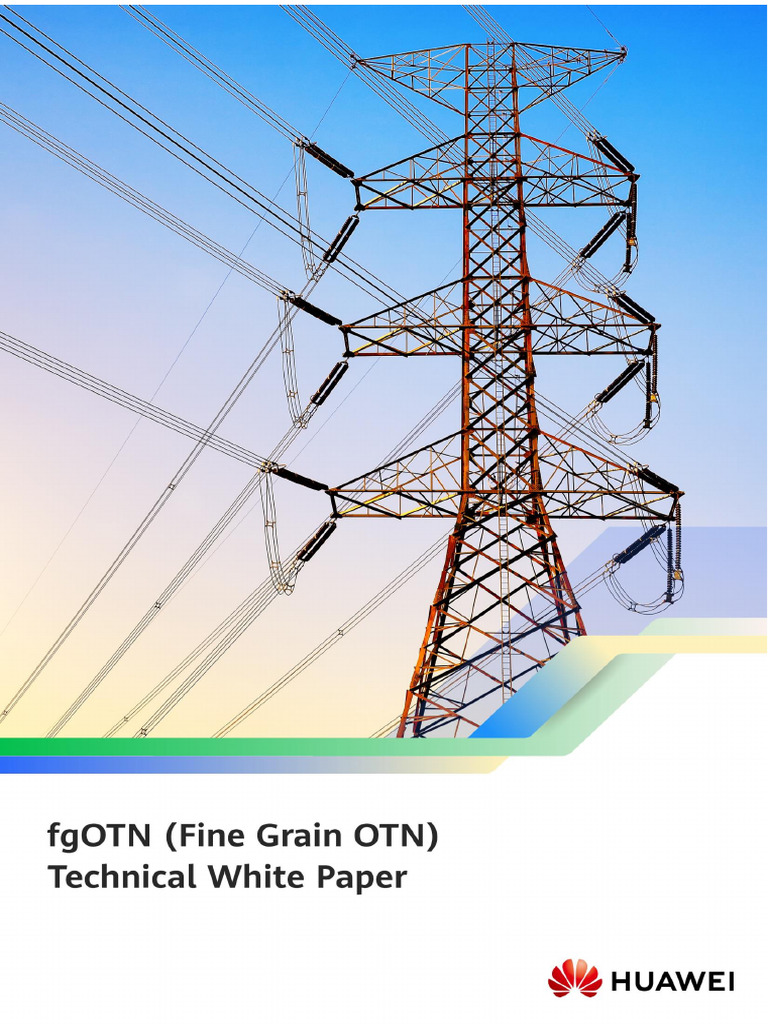 fgOTN (Fine Grain OTN) Technical White Paper | PDF | Computer Network | Multiplexing