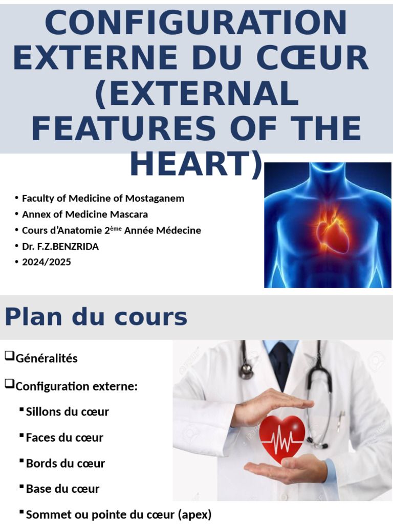 Configuration externe du cœur en anatomie | PDF | Cœur | Atrium (anatomie)