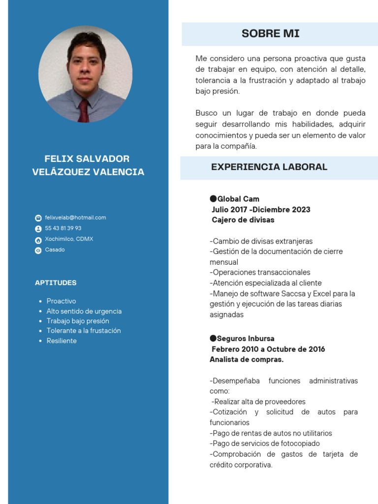 Felix Velázquez CV | PDF | Informática