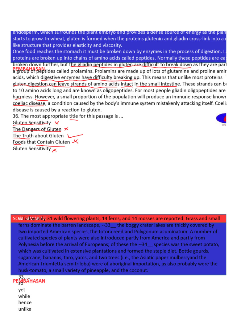 Templete Materi Mengajar Edu Tech | PDF | Gluten | Coeliac Disease