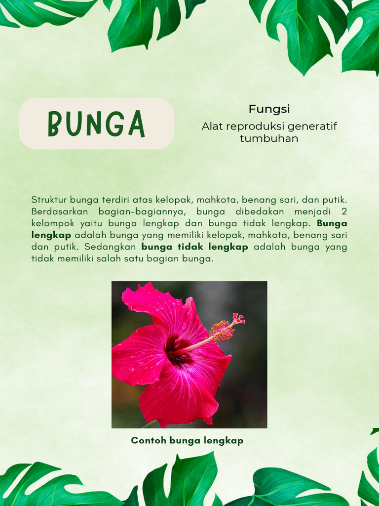 Bab 2 - 8 (Bunga) | PDF