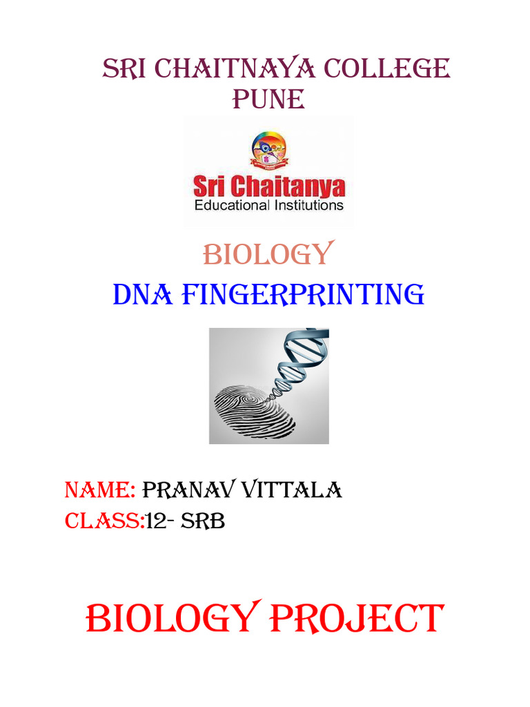Copy of 604854192-Dna-Fingerprinting-Bio-Project (1).docx | PDF | Dna ...