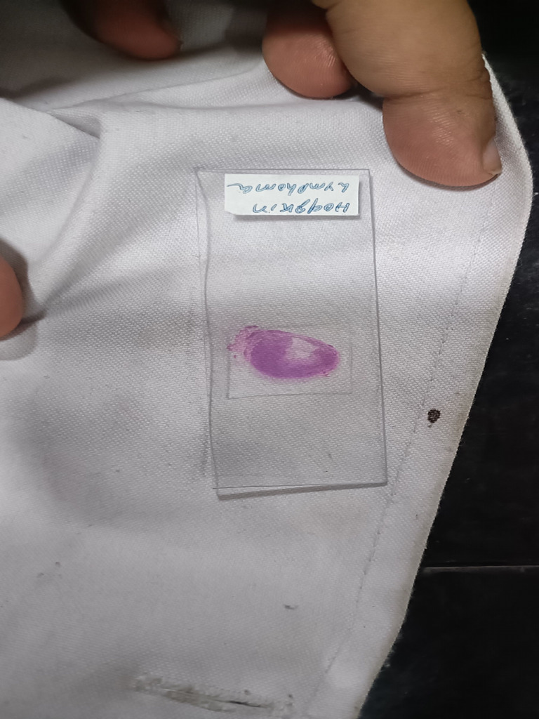 Patho Histology and Cytology Slides | PDF