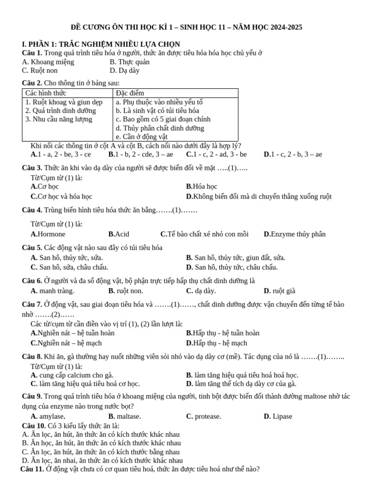 ĐỀ CƯƠNG ÔN THI HK1 SINH 11 2024-2025 | PDF