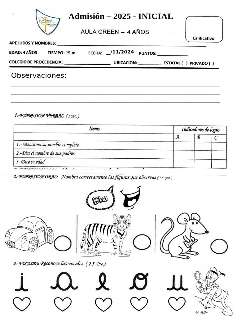 Admisión Inicial 2025: Observaciones | PDF