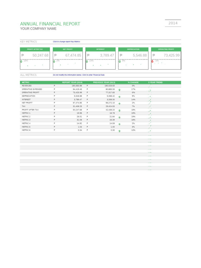 Annual Financial Report | PDF | Net Income | Expense