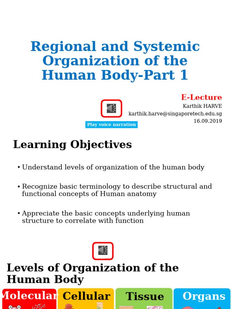 Human Body Organization: E-Lecture Part 1 | PDF | Endoplasmic Reticulum ...