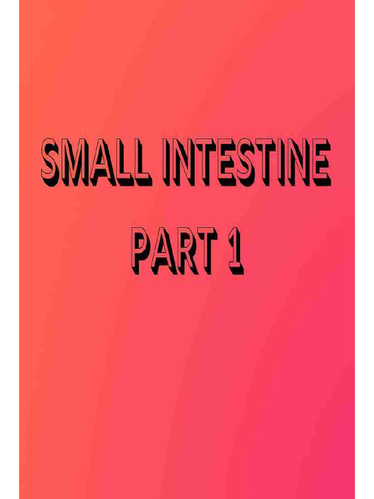 Small Intestine | PDF