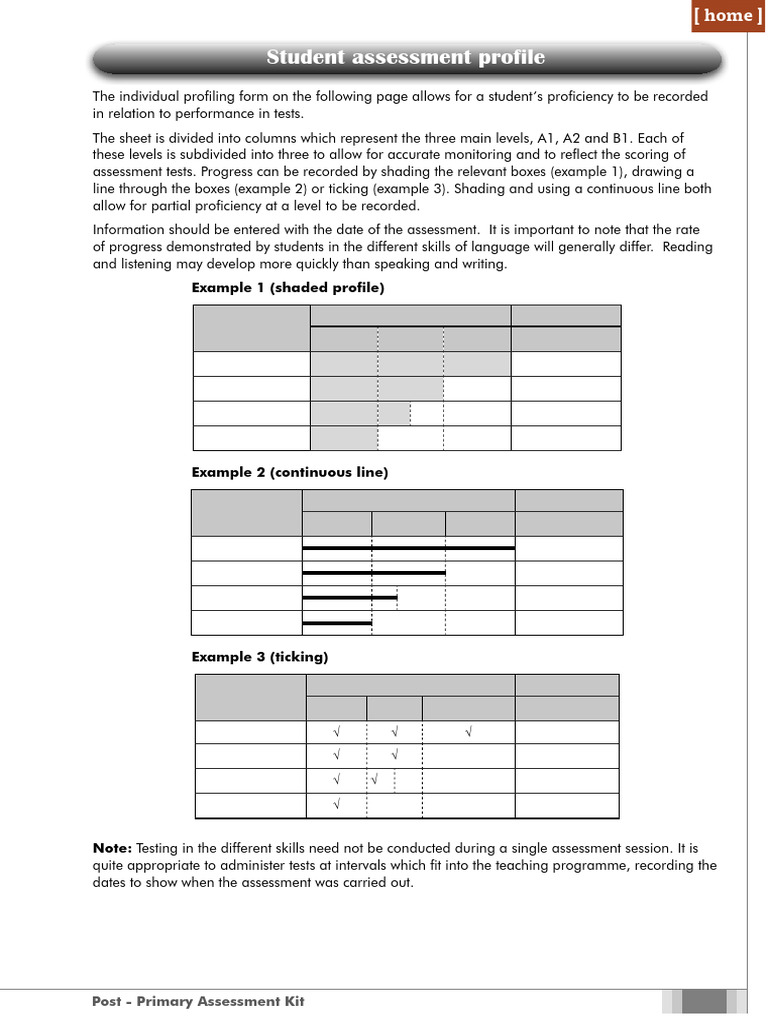 33 - Student Assessment ProfileEAL Post-Primary Assessment Kit | PDF ...