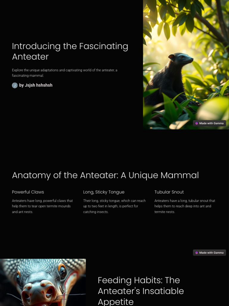 Introducing The Fascinating Anteater | PDF | Ant | Mammals