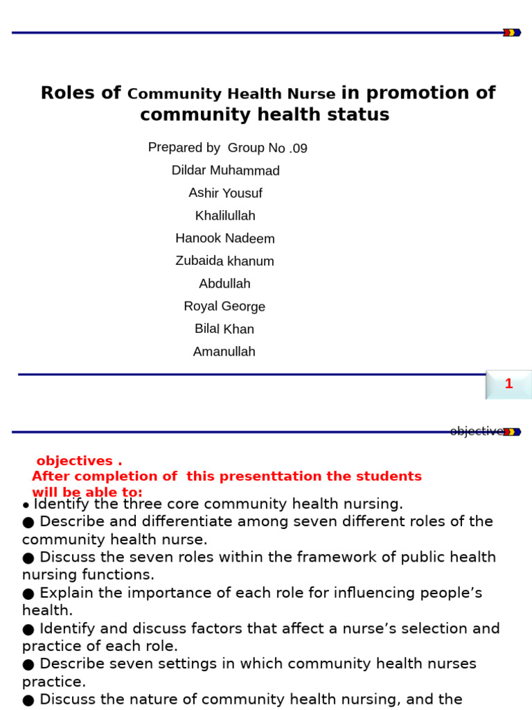 CHN Roles and Setting 0 | PDF | Nursing | Community