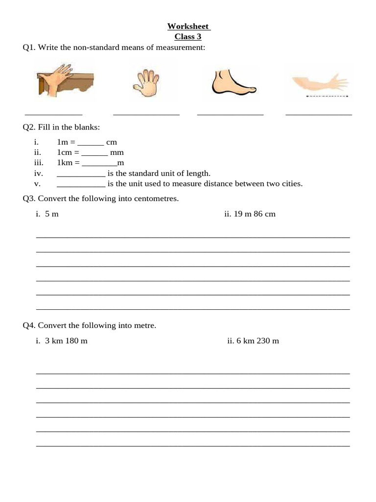 Class 3 Worksheet | PDF