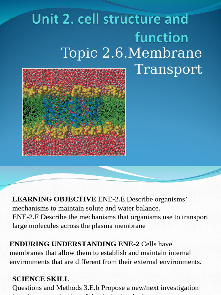 Topic 2.6 Membrane Transport | PDF | Cell Membrane | Biology
