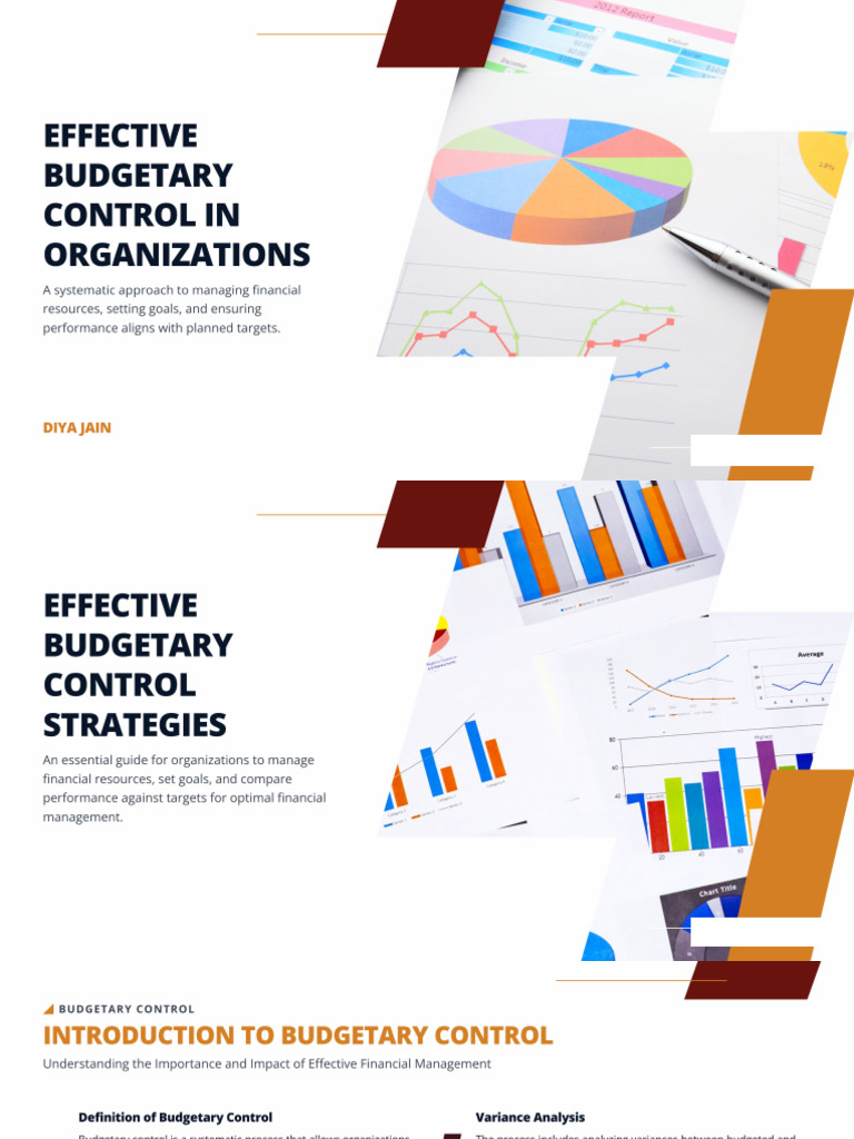 Budgetary Control Overview SEND | PDF