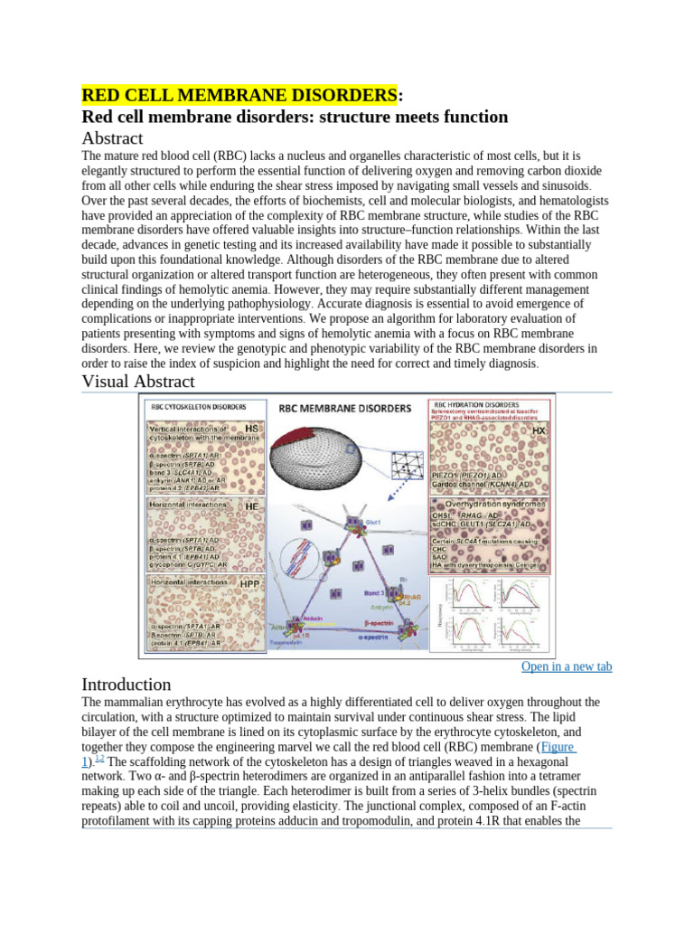 Red Cell Membrane Disorders | PDF | Red Blood Cell | Anemia